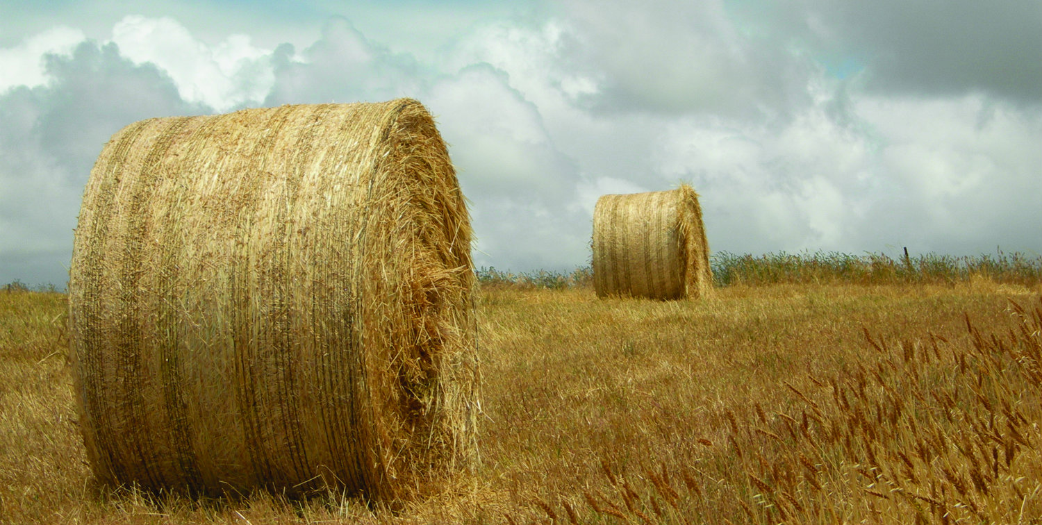 Reducing the risk of haystack fires - AustralianFarmers