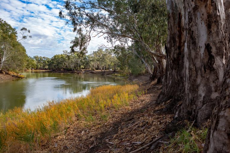 Why Australia's food bowl, the Murray-Darling Basin, is making ...