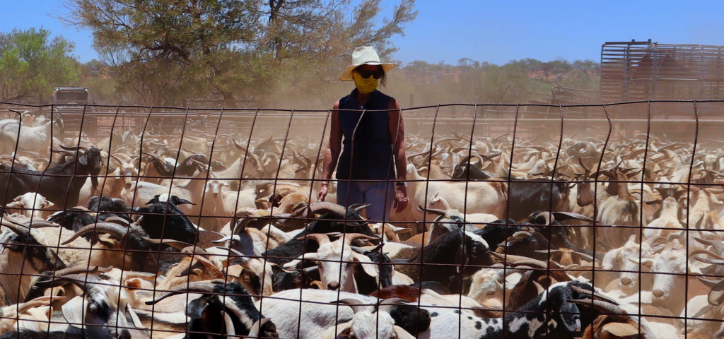 Yes, we’re female and we’re farmers - AustralianFarmers