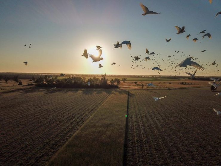 Rural Australia in pictures: 5 rural photographers showcase Australia's ...