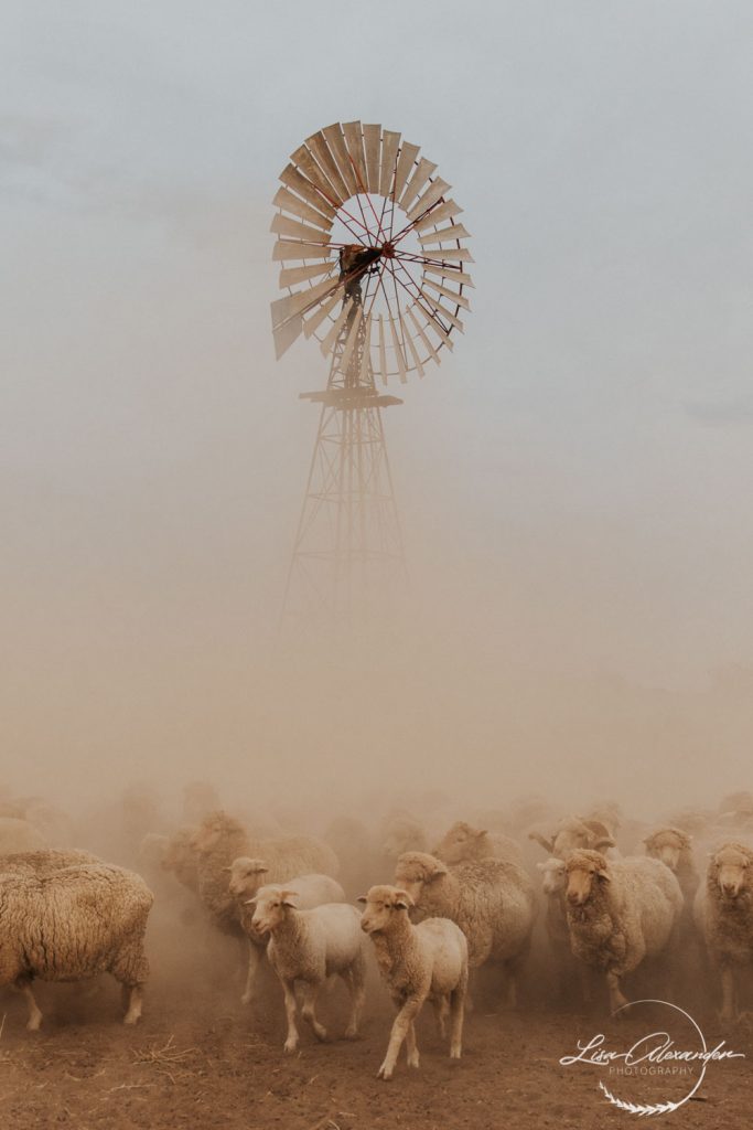 Rural Australia in pictures: 5 rural photographers showcase Australia's ...