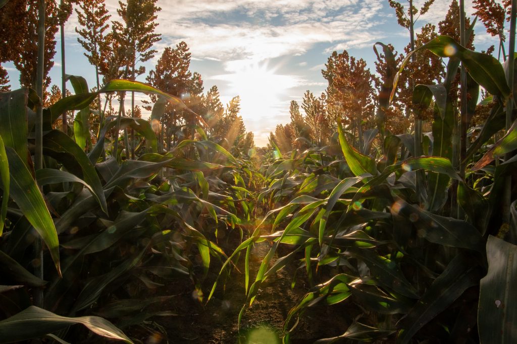 Rural Australia in pictures: 5 rural photographers showcase Australia's ...