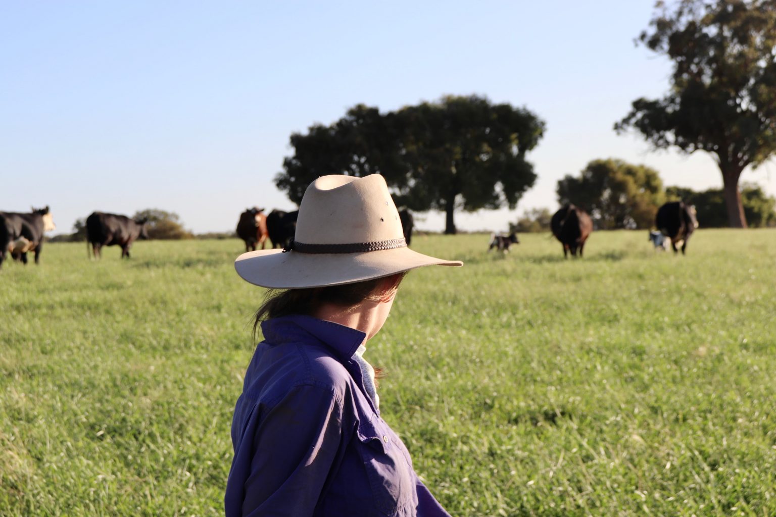 Rural Australia in pictures: 5 rural photographers showcase Australia's ...