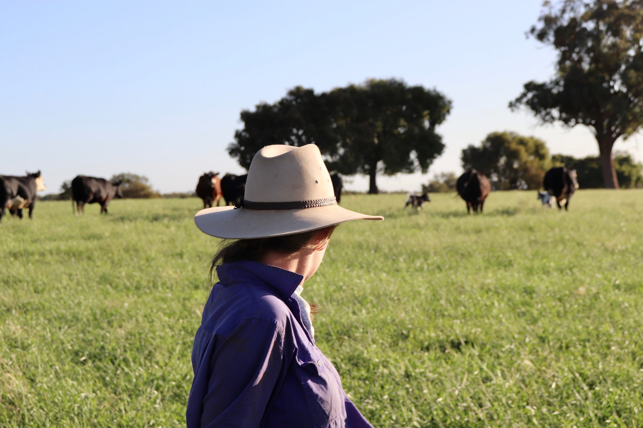 Rural Australia in pictures: 5 rural photographers showcase Australia's ...