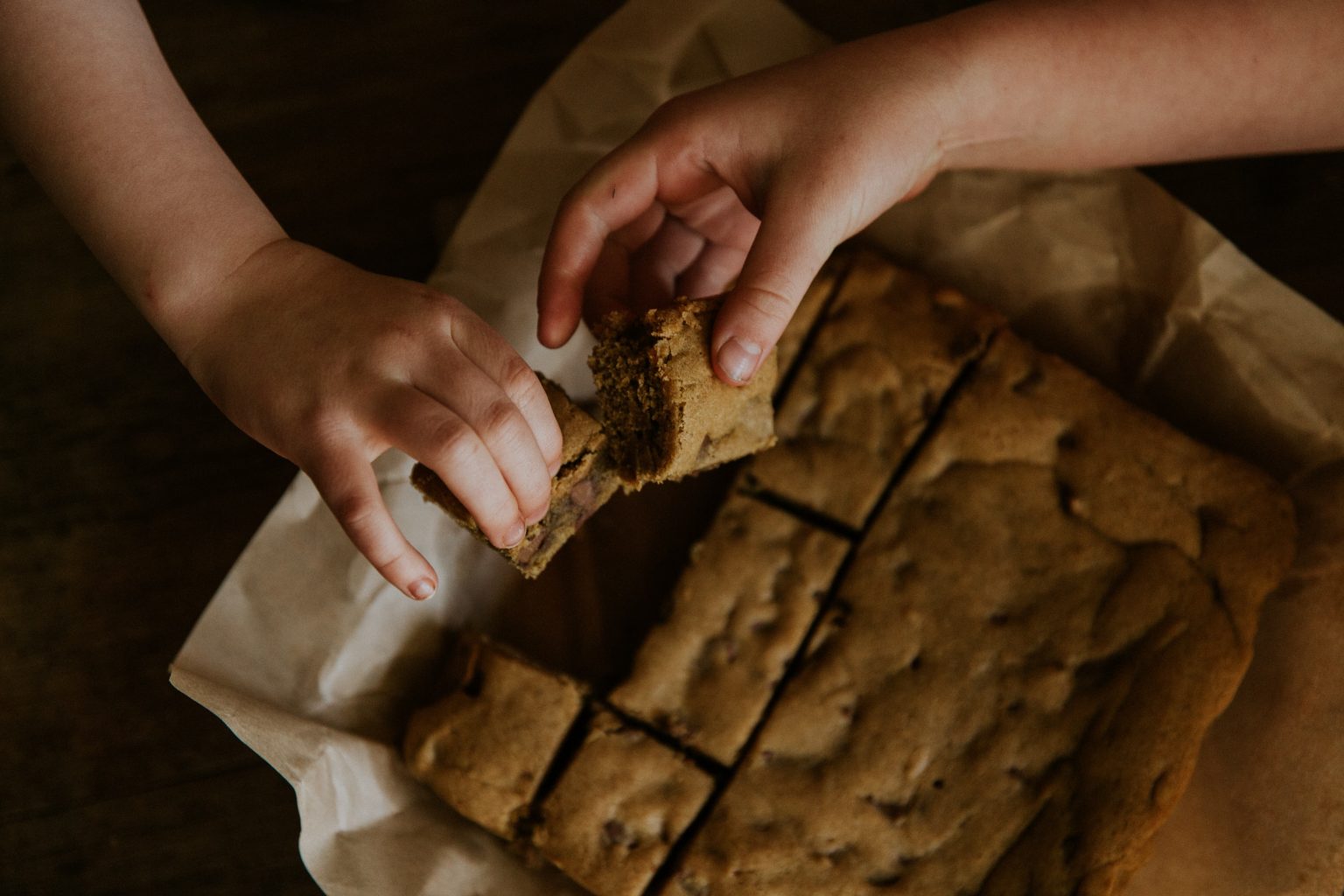 Pinnaroo Farmer's GF Moist Red Lentil Choc Chip Slice recipe ...