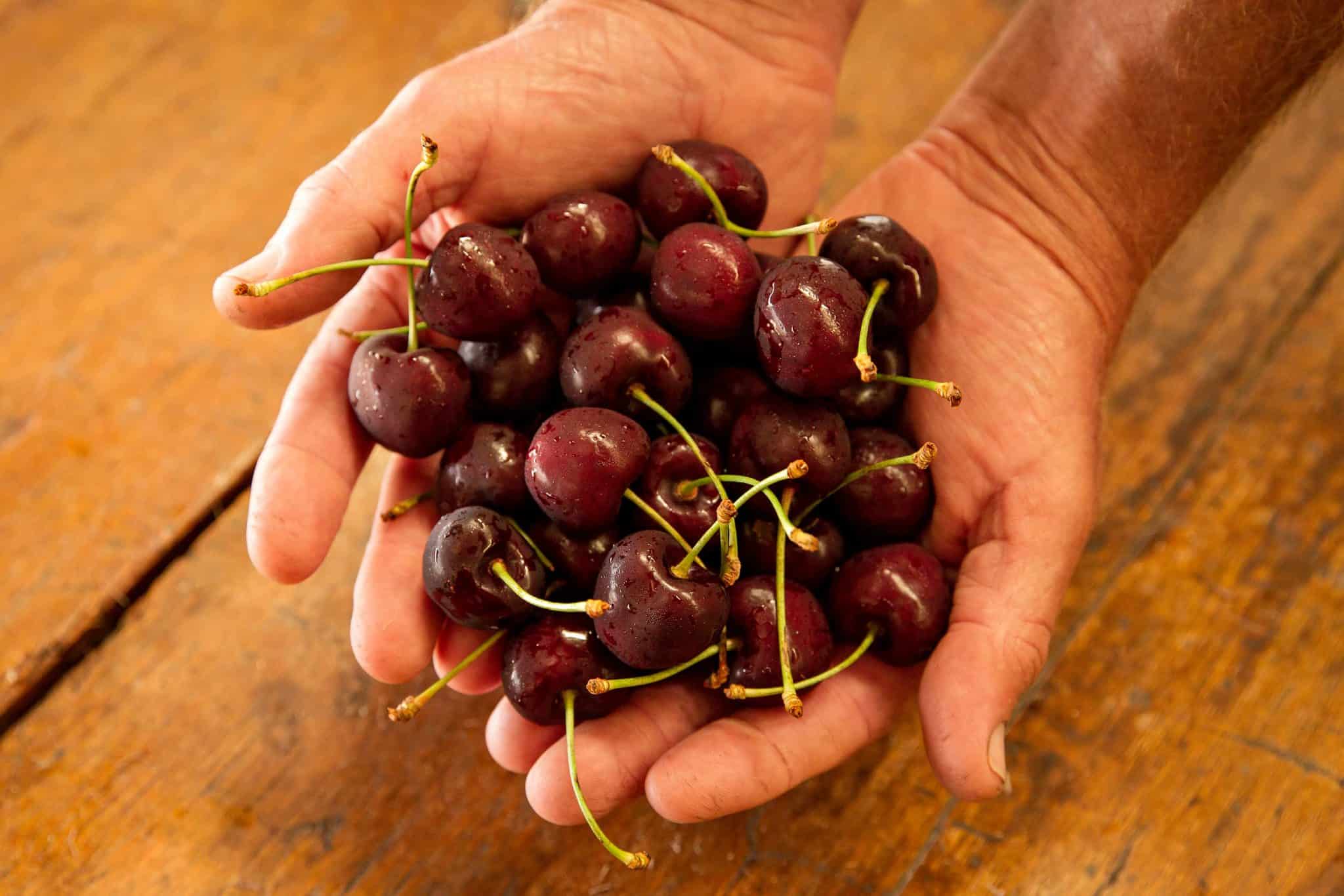 Nothing says summer like fresh Australian cherries - AustralianFarmers