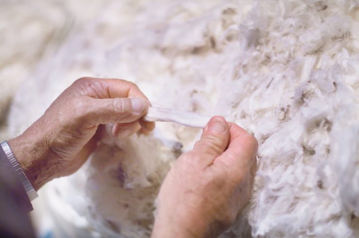 Our 5 favourite facts about Australian wool - AustralianFarmers