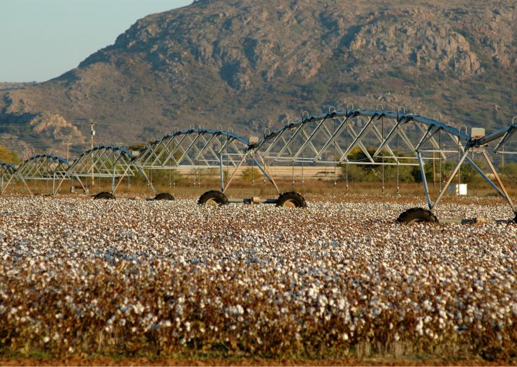 5 facts about Australian cotton - AustralianFarmers