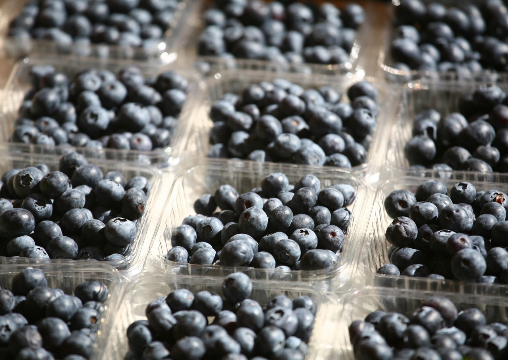 From farm to supermarket shelves in 24 hours, the journey of fresh ...