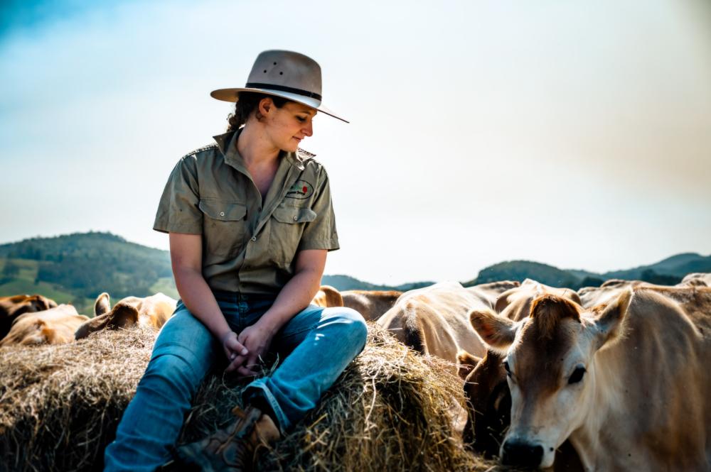 Young dairy farmer prioritises animal welfare with modern technology ...