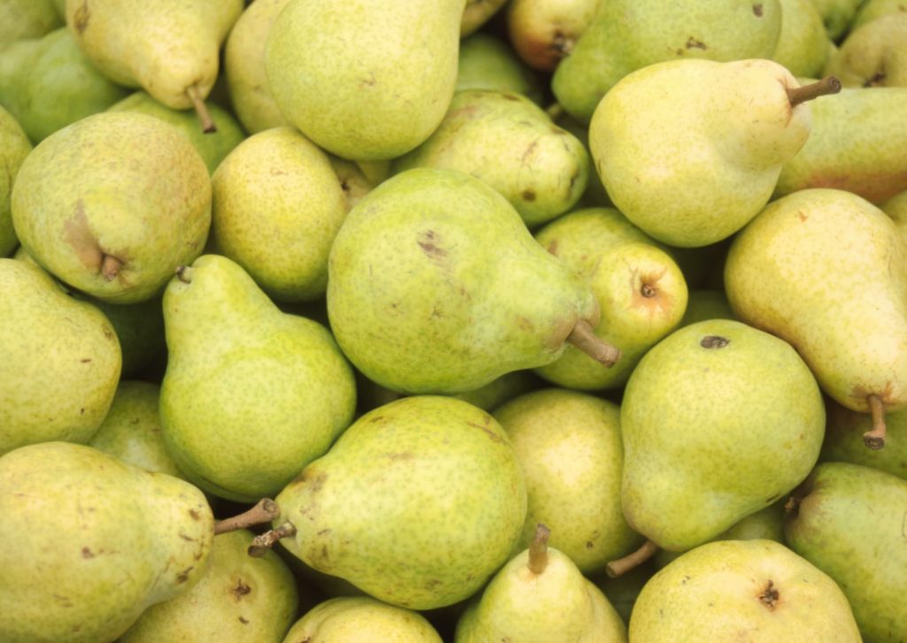 Tips on how to choose, ripen and store supermarket fresh pears ...