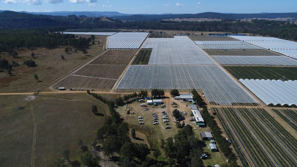 Meet the family at the helm of one the nation’s largest blueberry farms ...