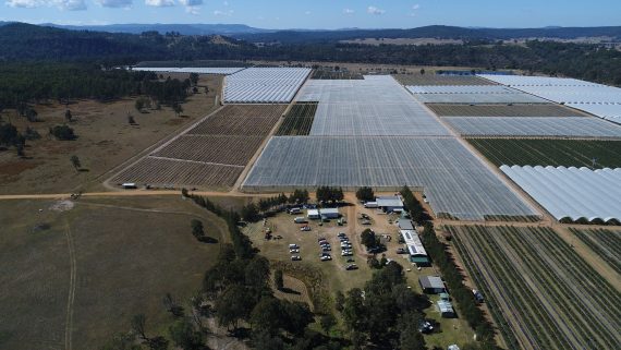 Meet the family at the helm of one the nation’s largest blueberry farms ...