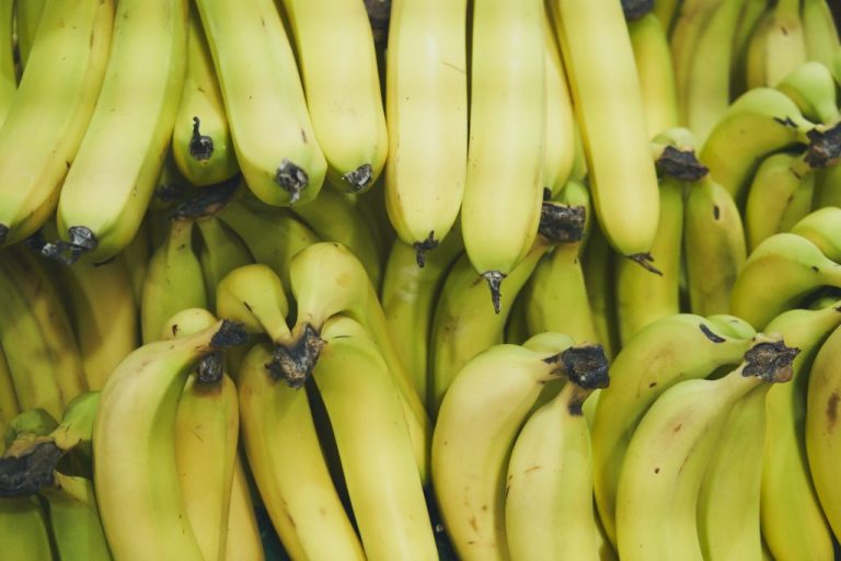 Our 7 favourite facts about the world's oldest fruit - AustralianFarmers