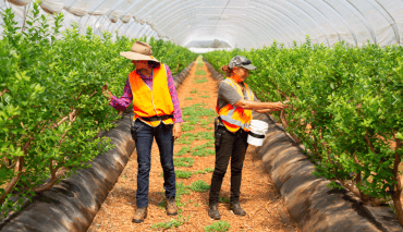 Meet the family at the helm of one the nation’s largest blueberry farms ...