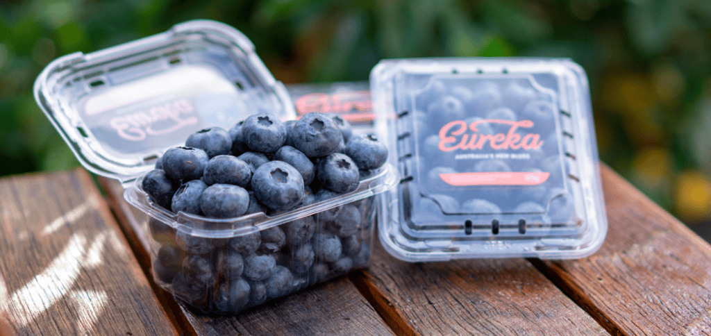 Meet the family at the helm of one the nation’s largest blueberry farms ...