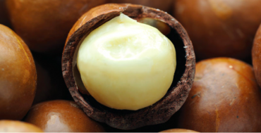The millions year old macadamia: a history - AustralianFarmers