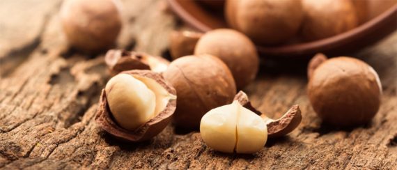The millions year old macadamia: a history - AustralianFarmers