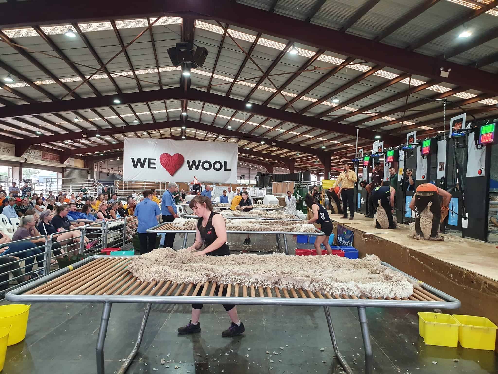 4 reasons why shearing should be an Olympic sport - AustralianFarmers