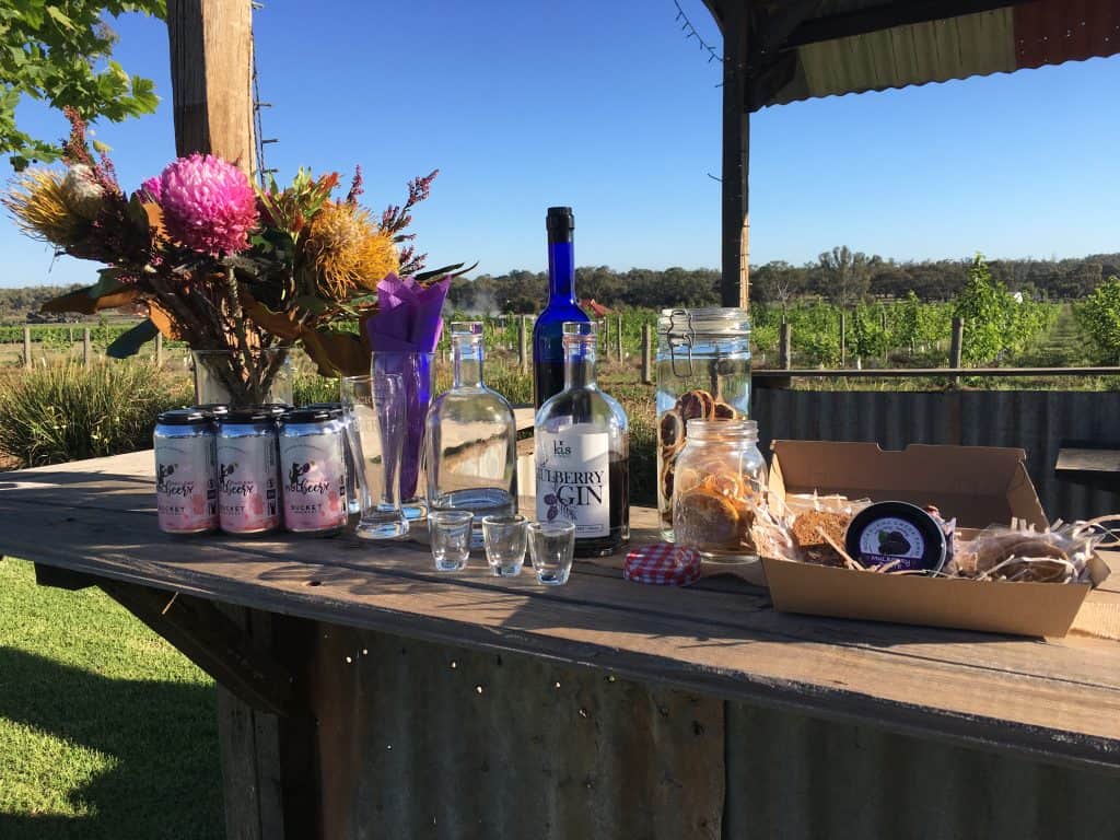 Nostalgia behind Peter's Aussie-first mulberry business - AustralianFarmers