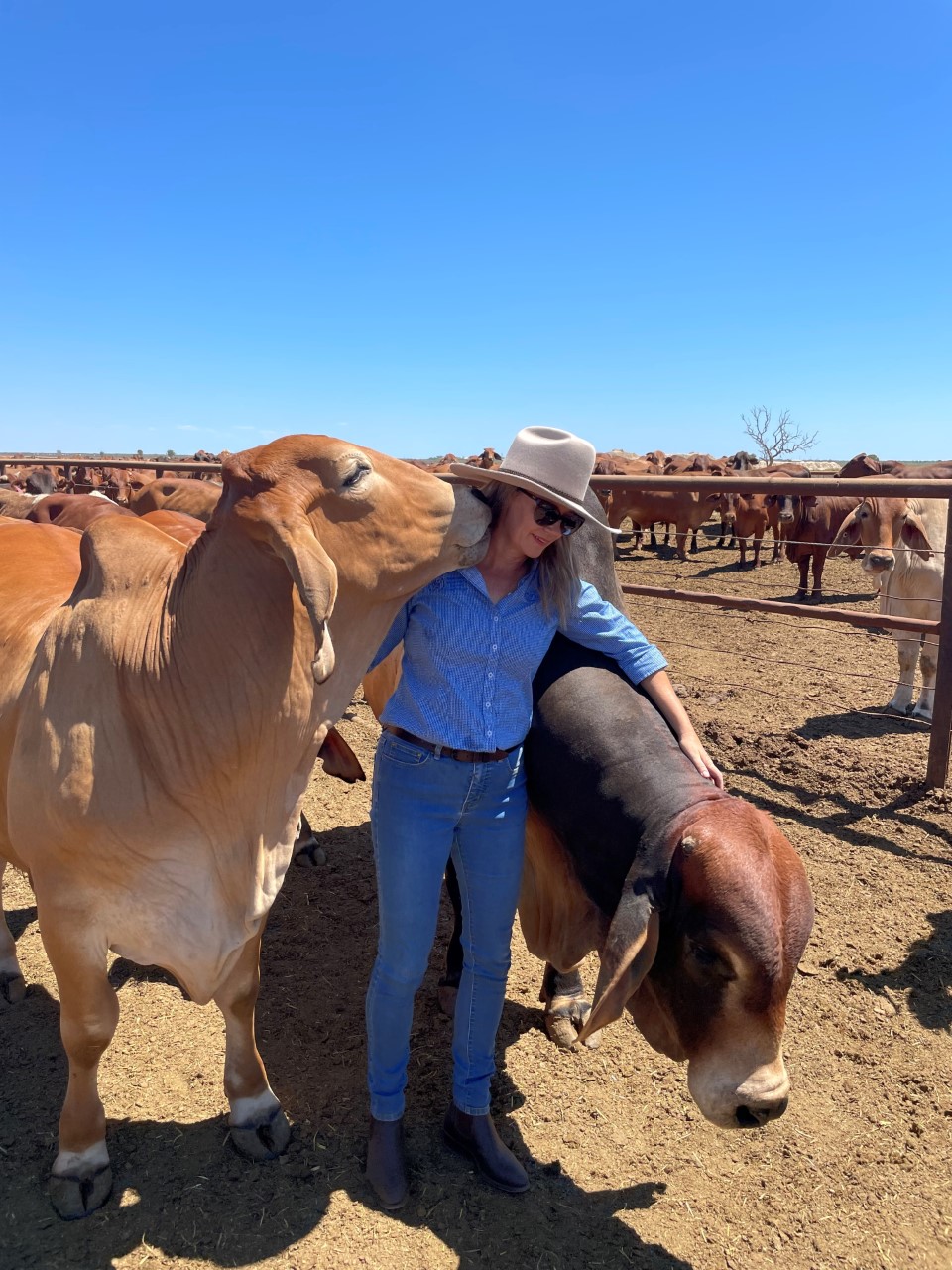 How a lifelong passion for animals led Tracy to her AgVenture ...
