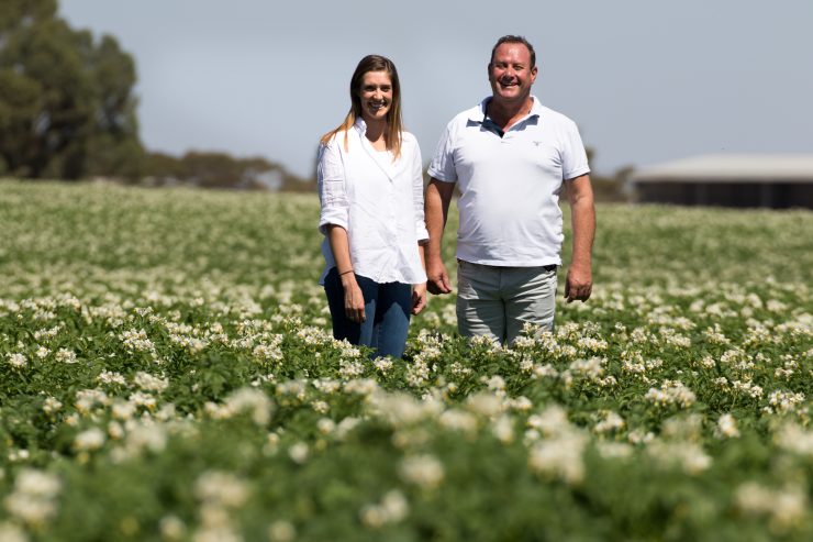 No ‘chip’ off the old block: low carb potatoes meet modern demands ...