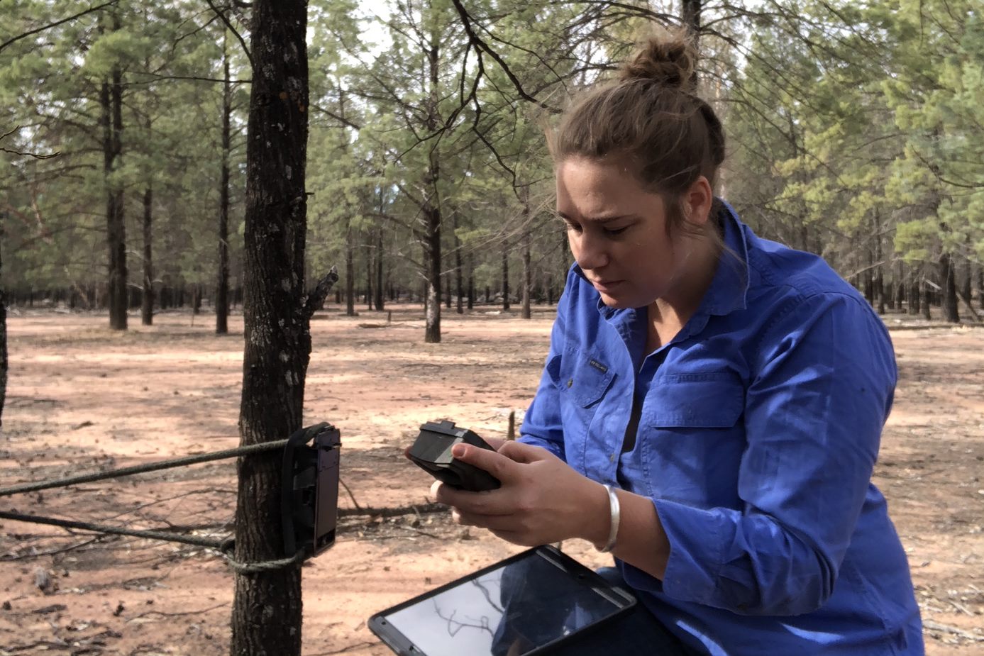 Jillaroo of all trades - AustralianFarmers