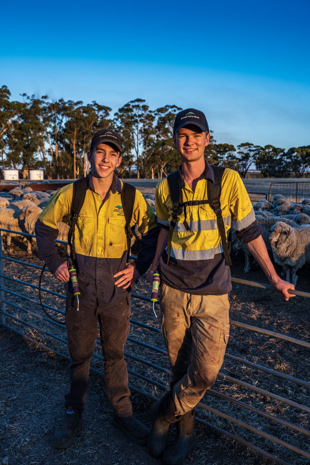 Why millions are watching young Aussie farmers 'Broad Acre Bros ...