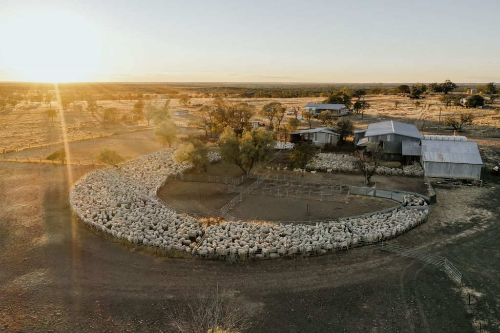 A lens on rural life - AustralianFarmers