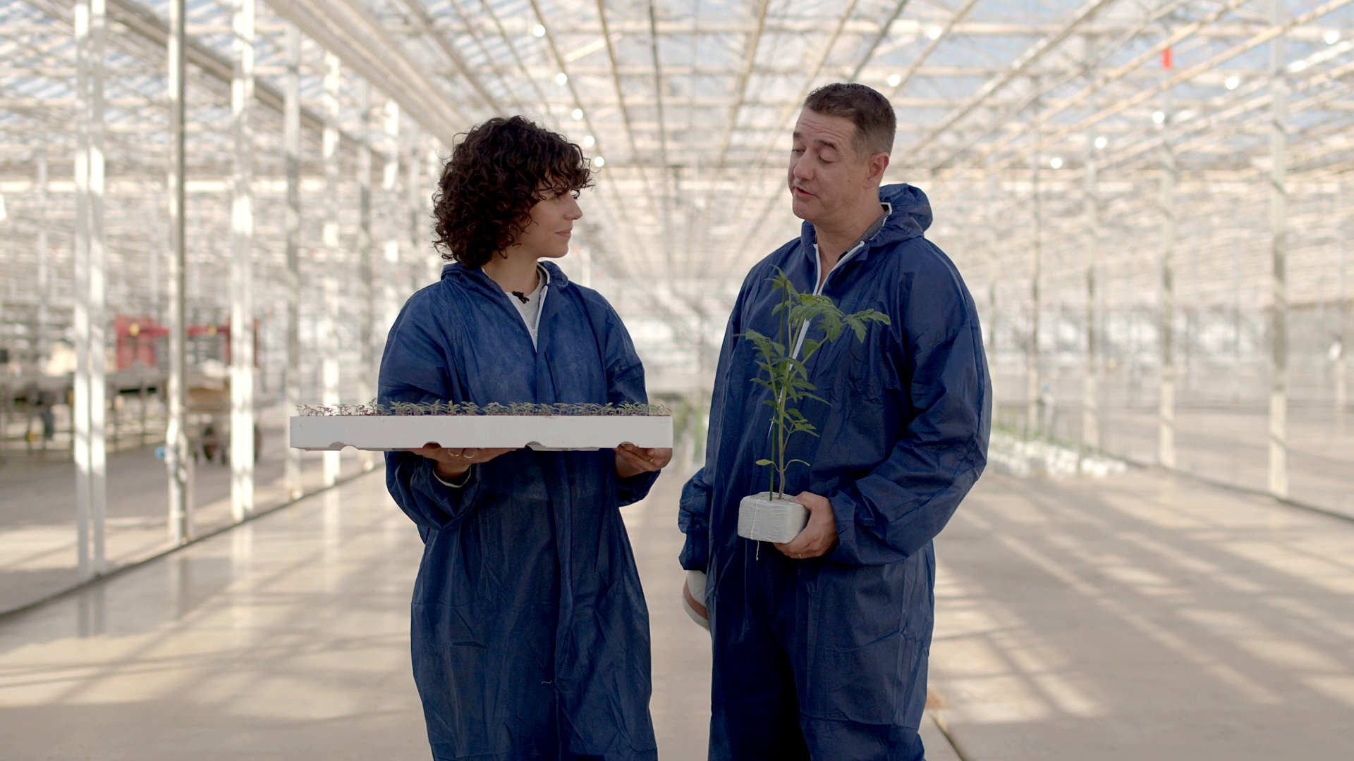 Innovation in Food | Tomato growers Flavorite - AustralianFarmers