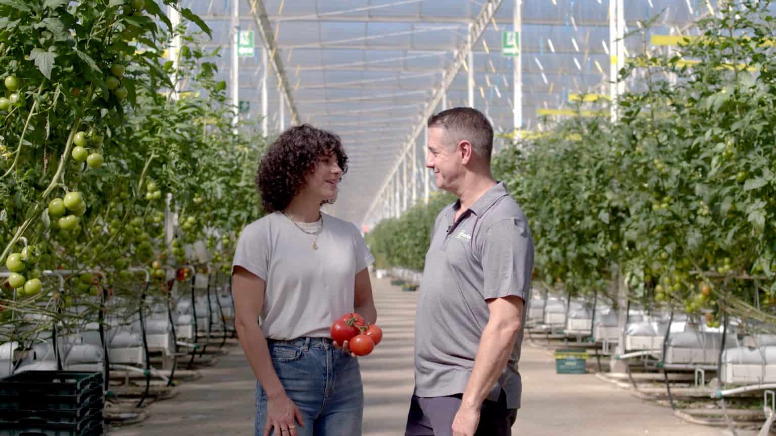 Innovation in Food | Tomato growers Flavorite - AustralianFarmers