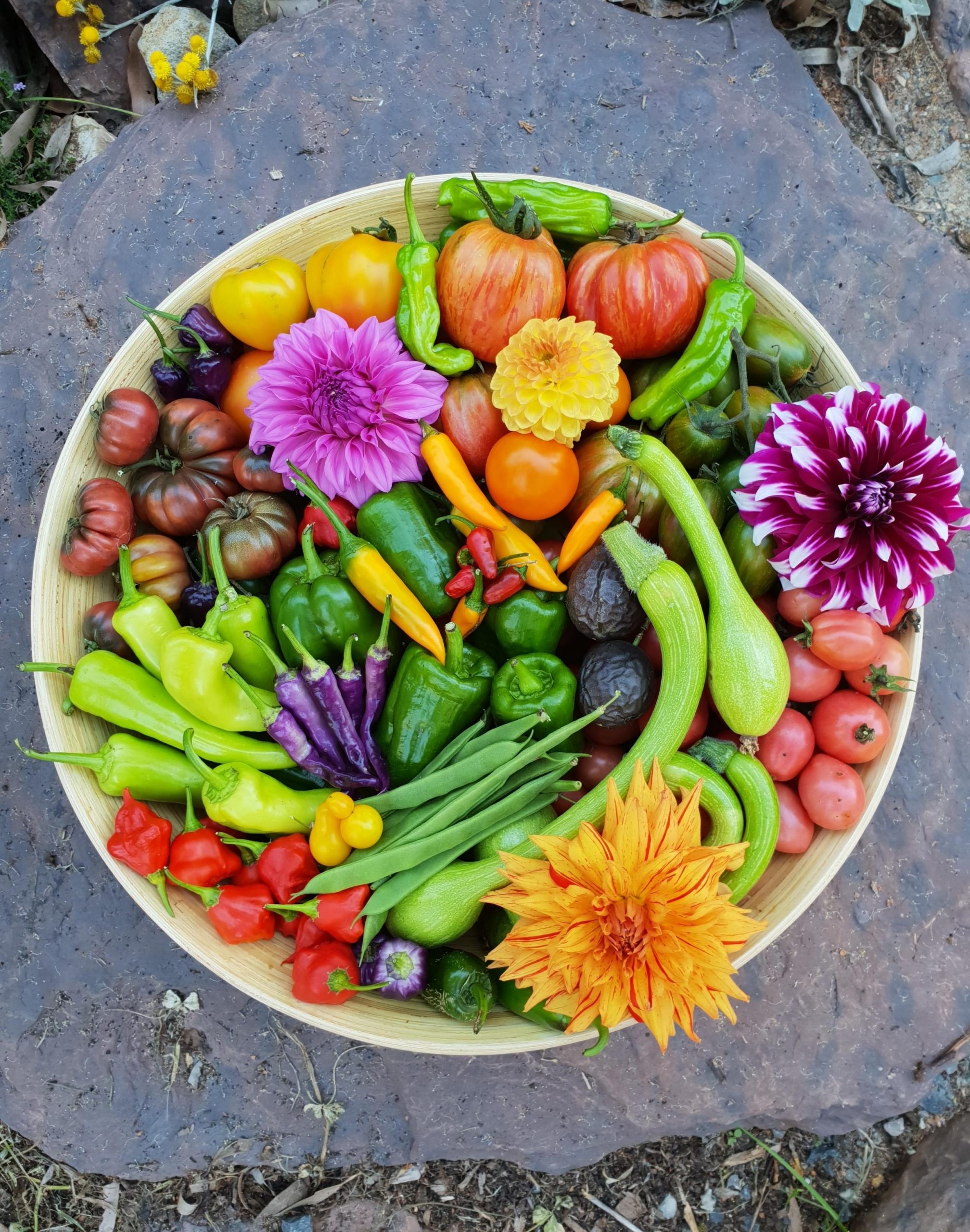 The rare foods in the Buttenshaw Backyard Farm - AustralianFarmers