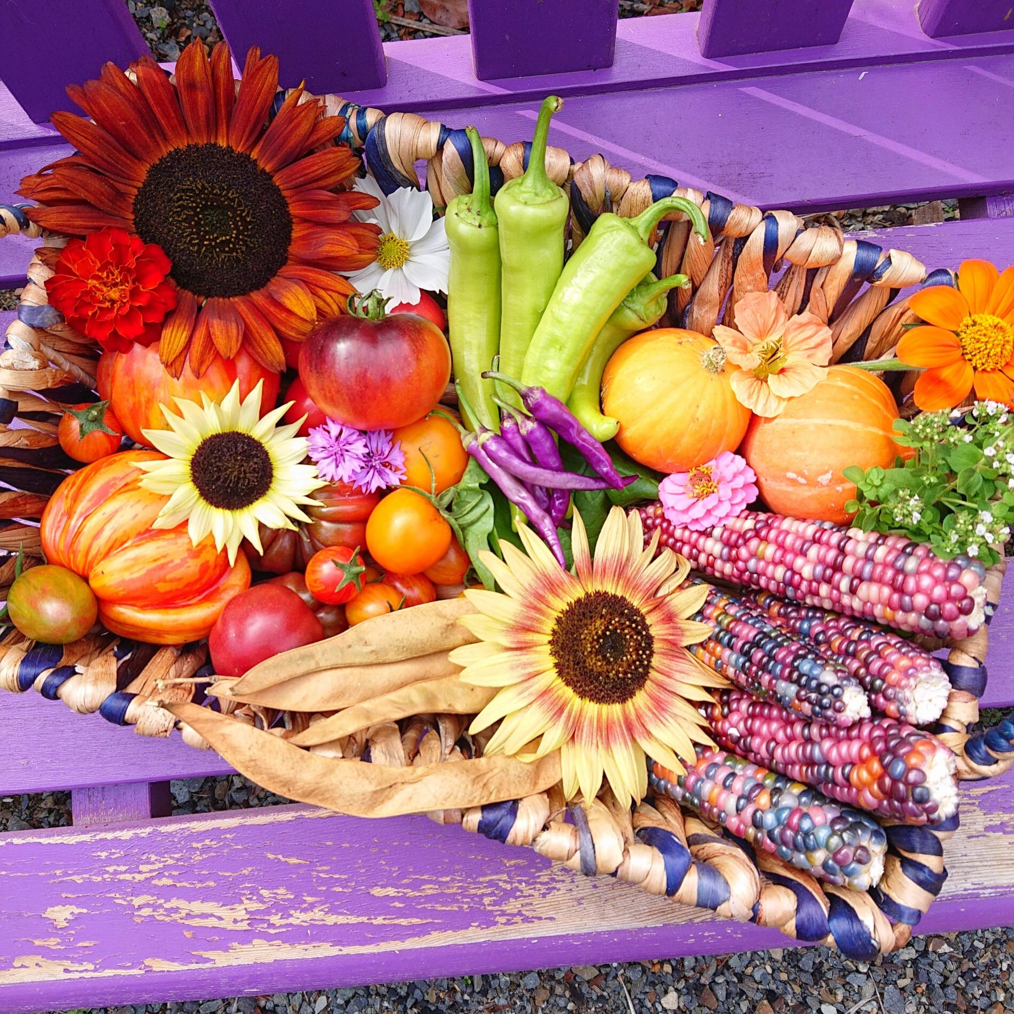 The rare foods in the Buttenshaw Backyard Farm - AustralianFarmers
