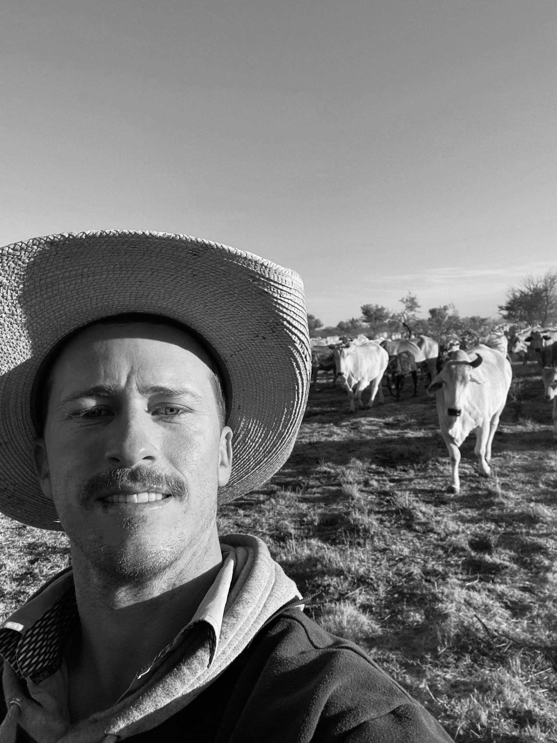 Is night mustering with drones the next big thing? - AustralianFarmers