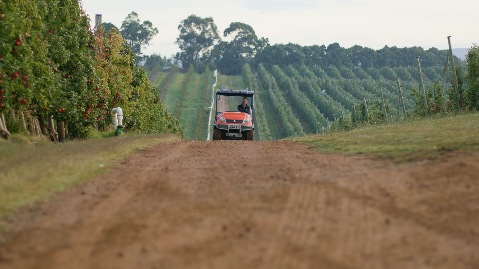 The apple doesn’t fall far on this farm - AustralianFarmers