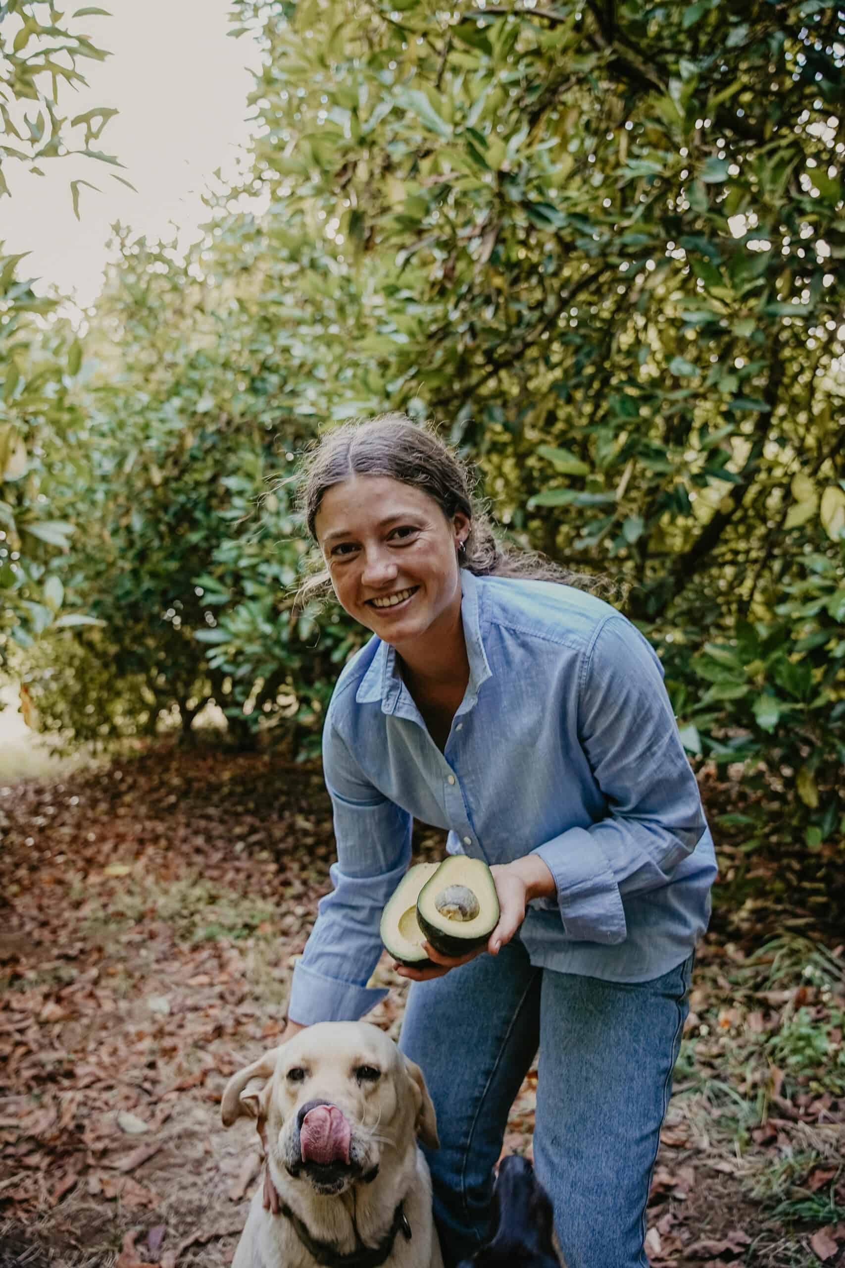 How a glut and too much guac became an ice cream dream - AustralianFarmers