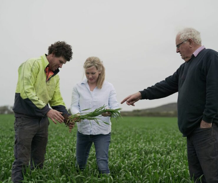 Fluff free and farmer friendly, the mental health resource making an ...