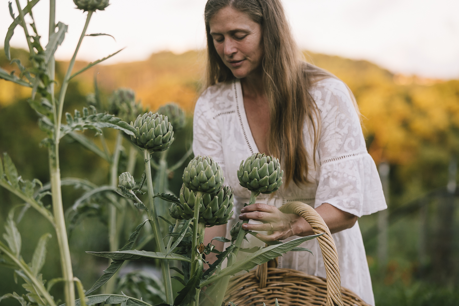 Long lunches and the lure of farming - AustralianFarmers