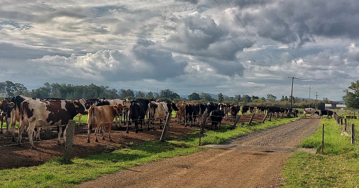 Immersive paddock to port tour - AustralianFarmers