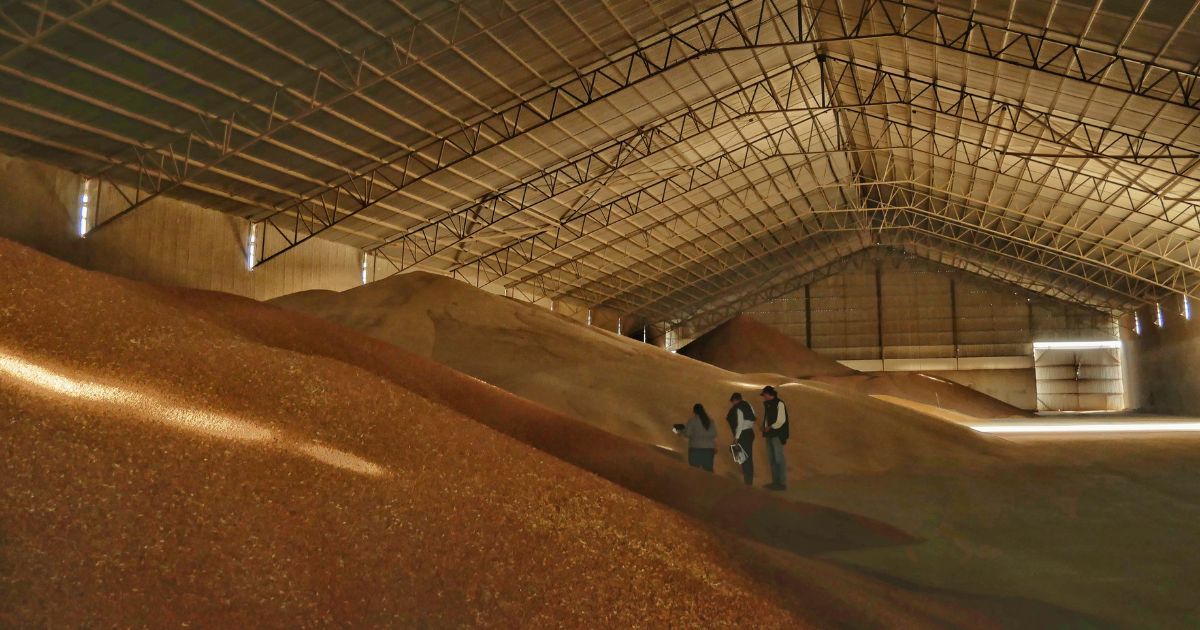 Immersive paddock to port tour - AustralianFarmers