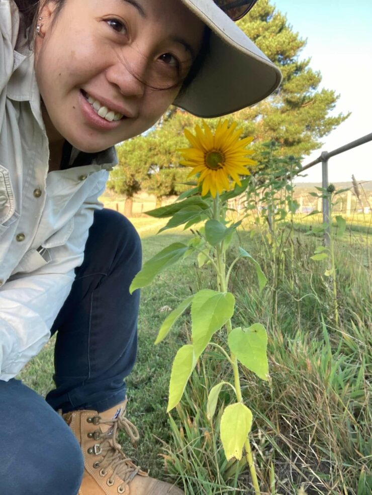 Dare to dream: How wool captured city girl Sam Wan's imagination ...