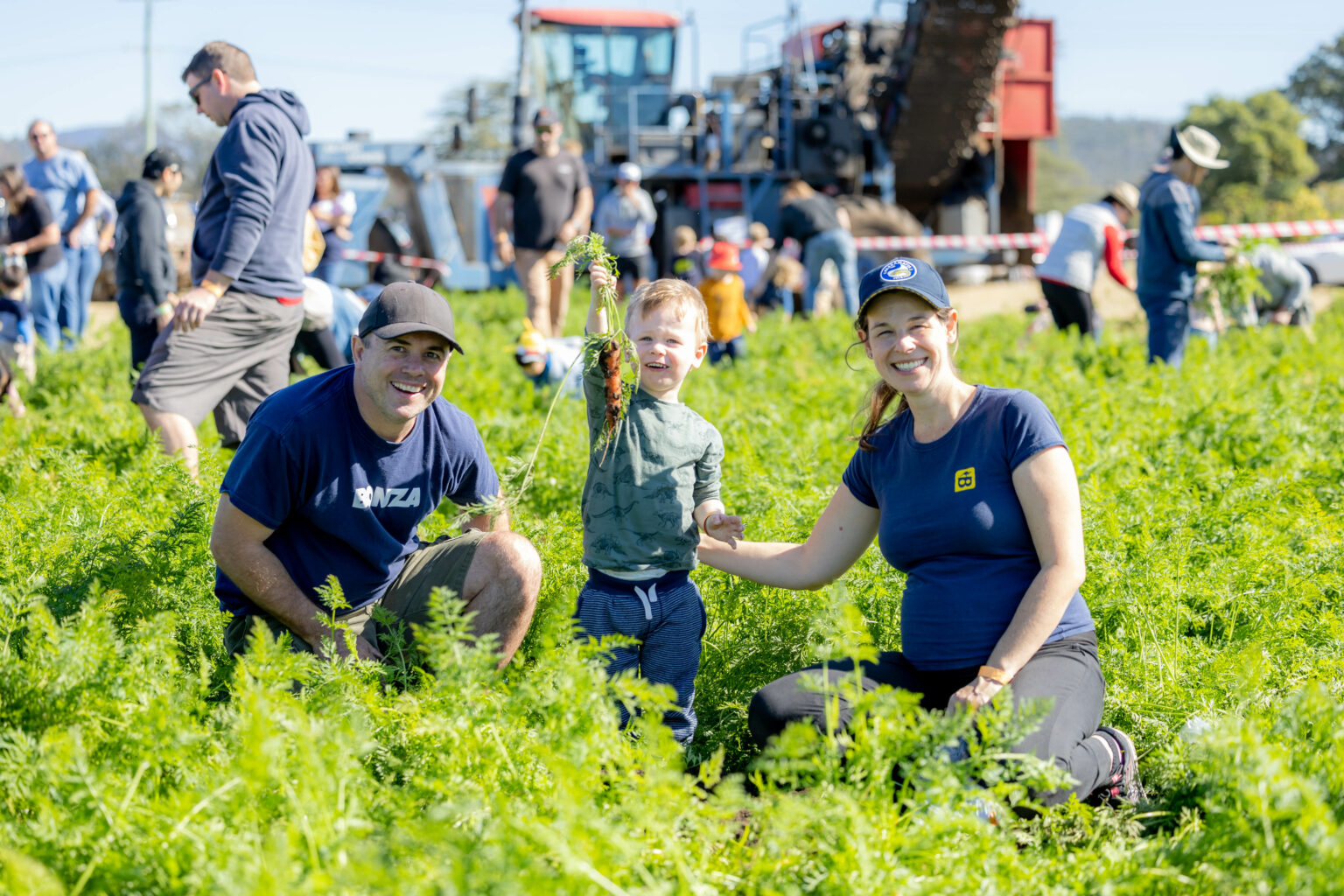 Meet a carrot grower - AustralianFarmers