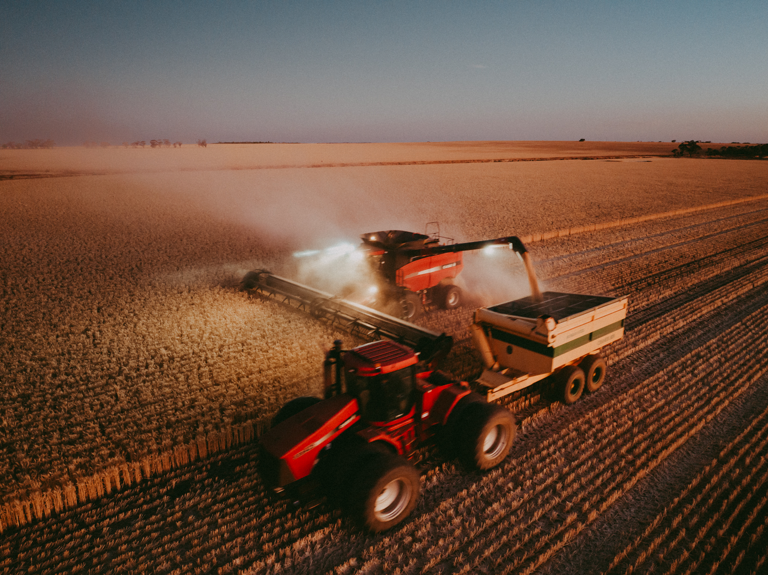 Meet a wheat farmer - AustralianFarmers