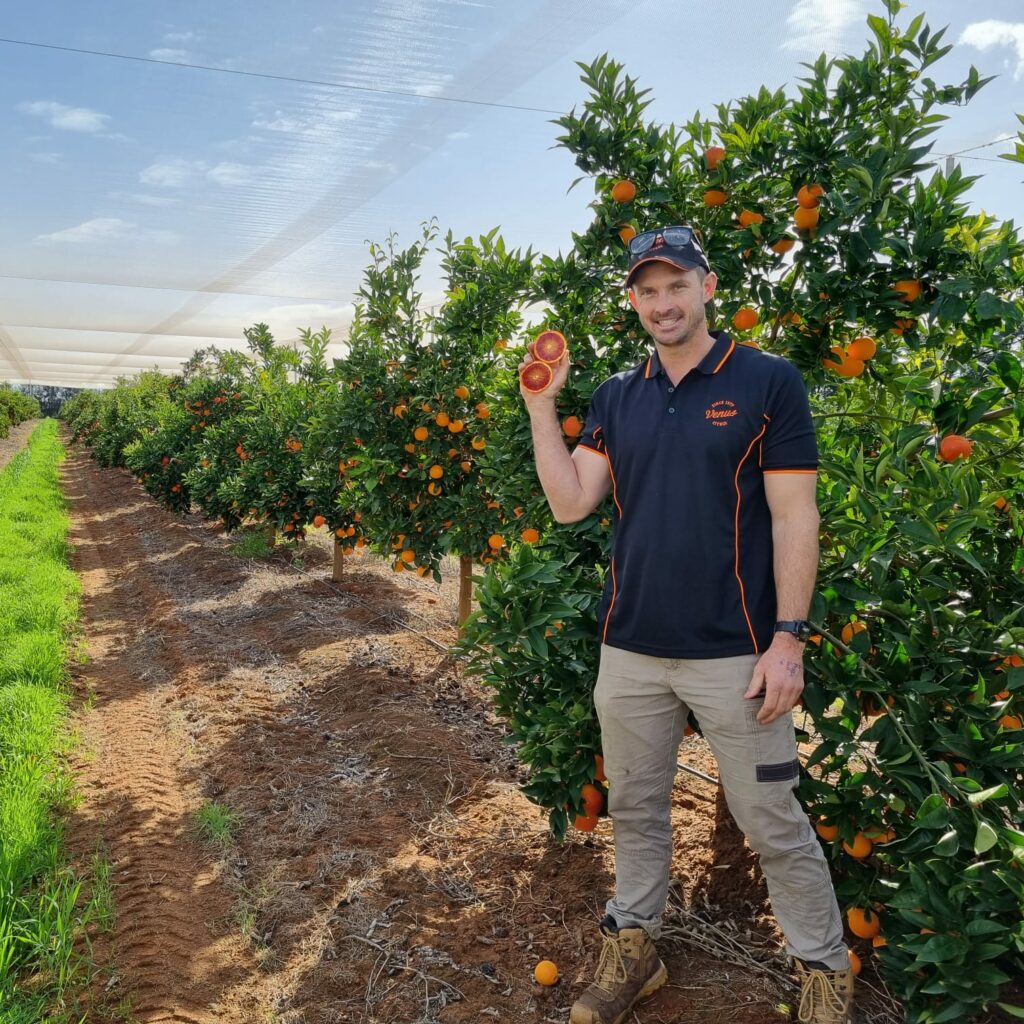 Meet an orange grower - AustralianFarmers