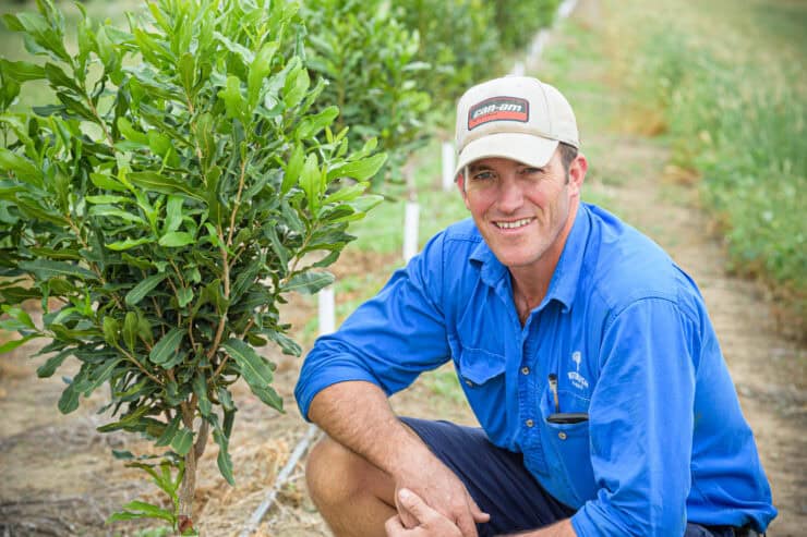 Why we’re going nuts for the ‘original macas' - AustralianFarmers