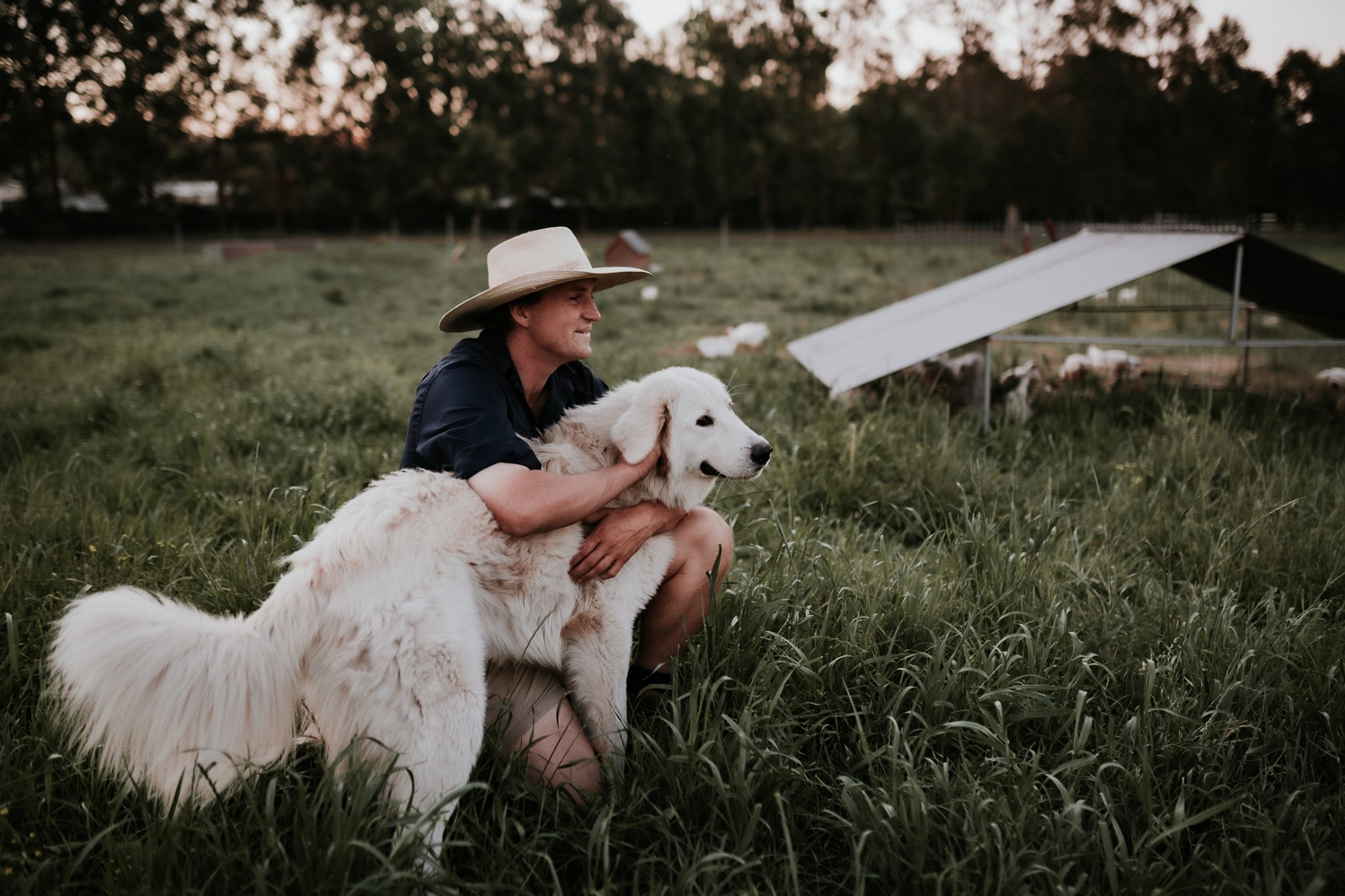 Farm dream to reality: The story of the first generation farmers who ...