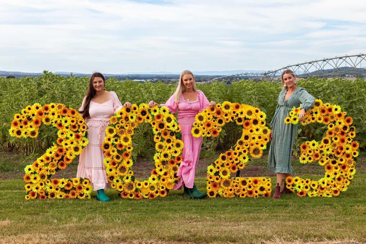 Growing sunshine: A guide to growing sunflowers (and what to do if you ...