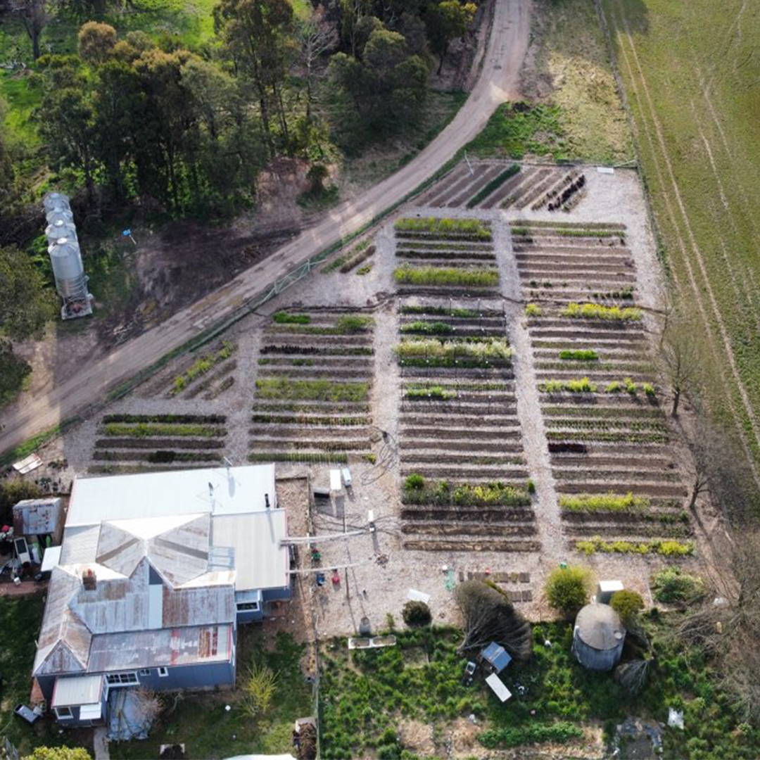 Maple Tree Farm - AustralianFarmers