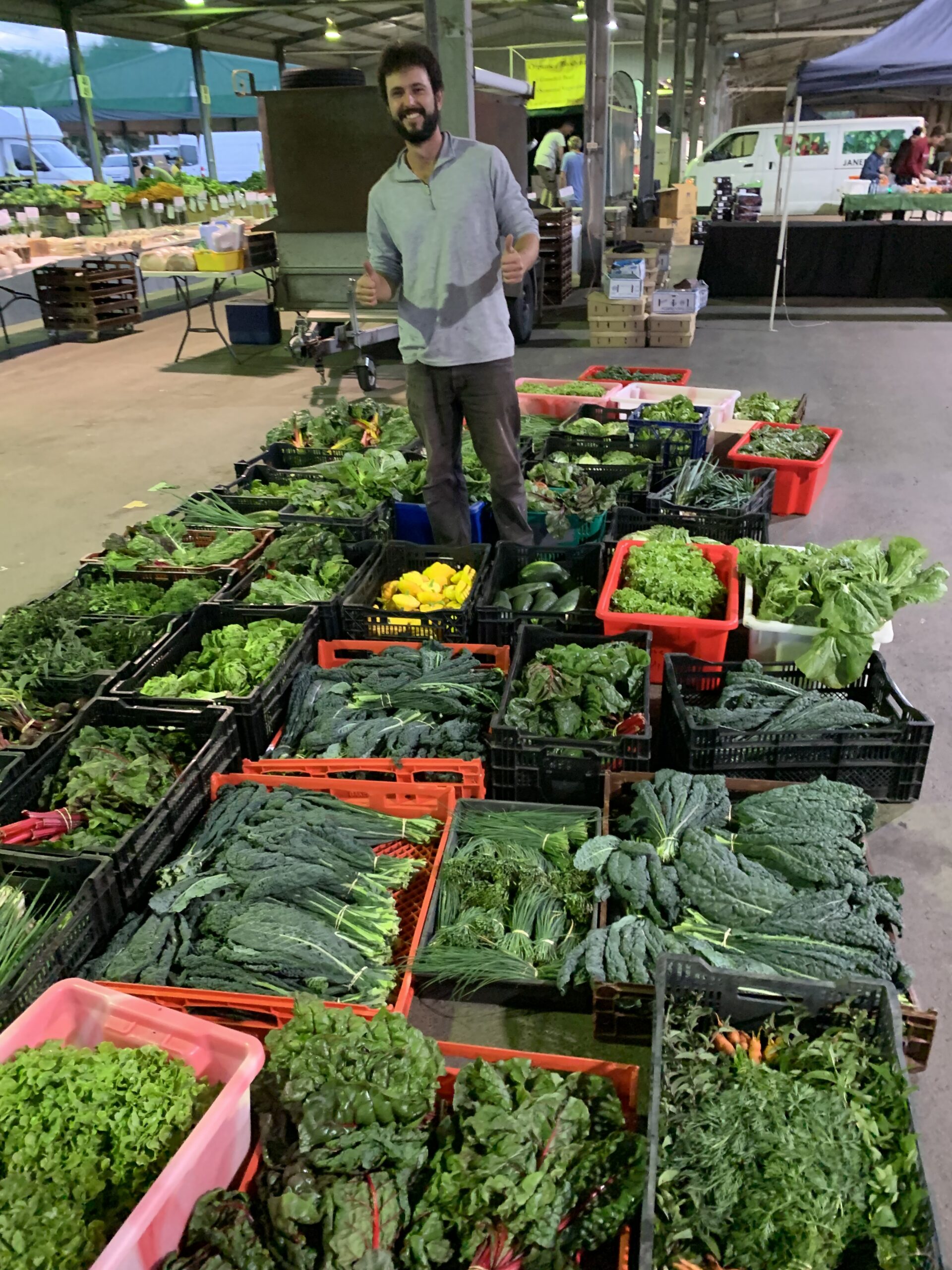 Maple Tree Farm - AustralianFarmers