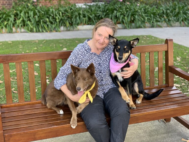 The fascinating story behind how the kelpie got its name ...